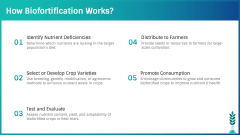 Biofortification PowerPoint and Google Slides Template - PPT Slides