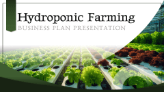 Hydroponic Farming Business Plan PowerPoint and Google Slides Template