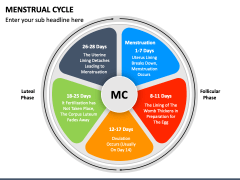 Free Menstrual Cycle PPT - PowerPoint and Google Slides Template