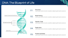 Free - Advanced Biology for High School Presentation for PowerPoint and ...