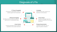 Urinary Tract Infection PowerPoint and Google Slides Template - PPT Slides