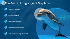 Free - Dolphin Presentation for PowerPoint and Google Slides - PPT Slides