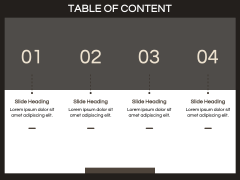 Product Introduction PowerPoint and Google Slides Template - PPT Slides