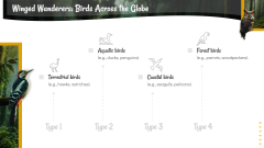 Free - Birds Presentation for PowerPoint and Google Slides - PPT Slides