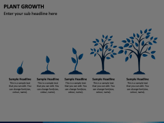Plant Growth PowerPoint and Google Slides Template - PPT Slides