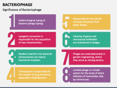 Bacteriophage PowerPoint and Google Slides Template - PPT Slides