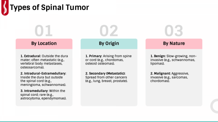 Spinal Tumor PowerPoint and Google Slides Template - PPT Slides
