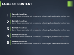 Franchise Business Plan PowerPoint Template and Google Slides Theme