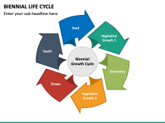 Biennial Life Cycle PowerPoint and Google Slides Template - PPT Slides