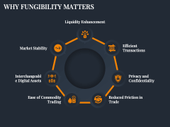 Fungibility PowerPoint and Google Slides Template - PPT Slides