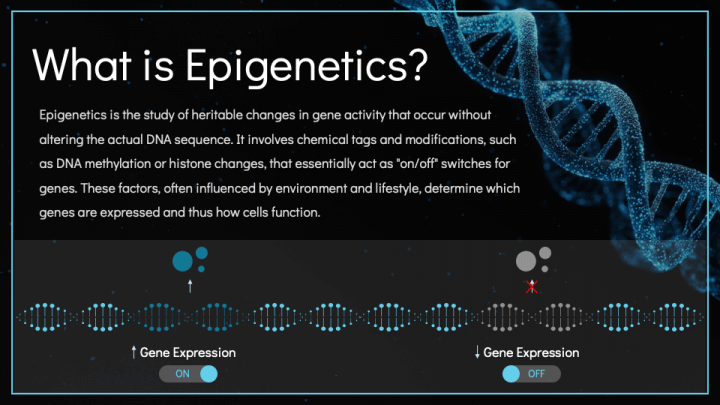 Epigenetics PowerPoint and Google Slides Template - PPT Slides