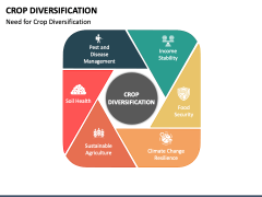 Crop Diversification PowerPoint and Google Slides Template - PPT Slides
