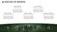 Free - Project Rhino PowerPoint and Google Slides Template - PPT Slides