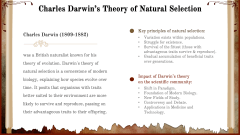Theories of Evolution PowerPoint and Google Slides Template - PPT Slides