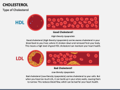 Cholesterol PowerPoint and Google Slides Template - PPT Slides