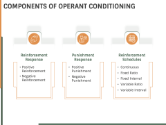 Operant Conditioning PowerPoint and Google Slides Template - PPT Slides