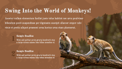 Free - Monkey Presentation for PowerPoint and Google Slides - PPT Slides