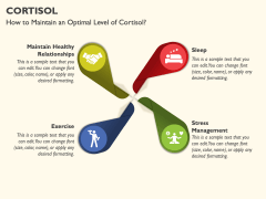 Cortisol PowerPoint and Google Slides Template - PPT Slides