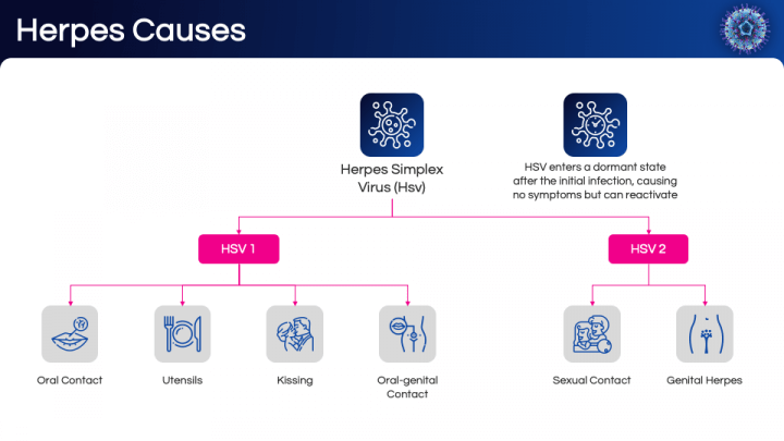 Herpes Simplex Virus (HSV) PowerPoint and Google Slides Template - PPT ...