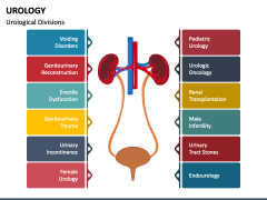 Free - Urology PowerPoint and Google Slides Template - PPT Slides