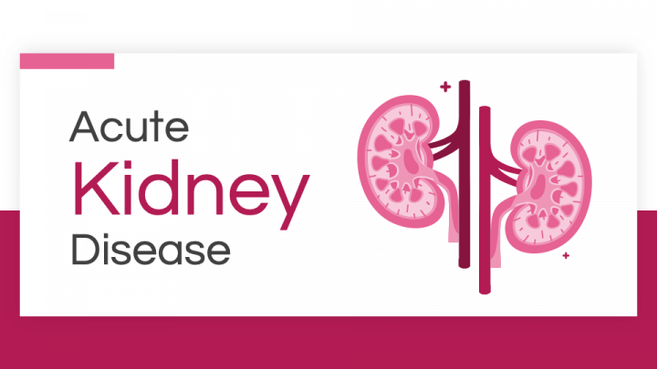 Acute Kidney Disease PowerPoint and Google Slides Template - PPT Slides
