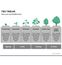 Logic Tree Diagram PowerPoint Template - PPT Slides | SketchBubble