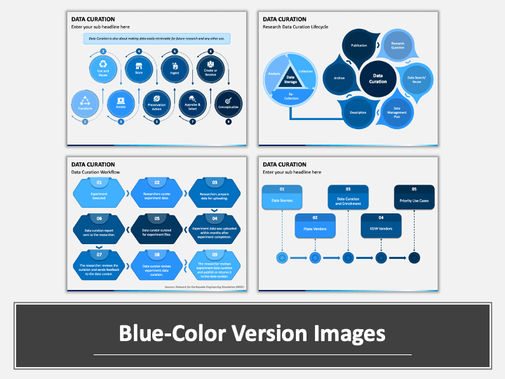 Data Custodian PowerPoint and Google Slides Template - PPT Slides