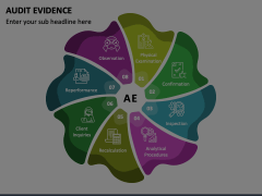 Audit Evidence PowerPoint and Google Slides Template - PPT Slides