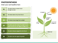 Photosynthesis PowerPoint and Google Slides Template - PPT Slides