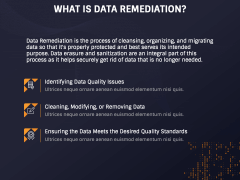 Data Remediation PowerPoint and Google Slides Template - PPT Slides