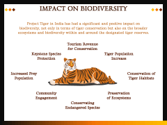 Free - Project Tiger in India PowerPoint Template and Google Slides Theme