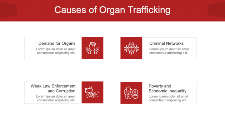 Free - Organ Trafficking PowerPoint and Google Slides Template - PPT Slides