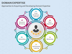 Domain Expertise PowerPoint and Google Slides Template - PPT Slides
