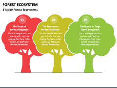 Forest Ecosystem PowerPoint and Google Slides Template - PPT Slides