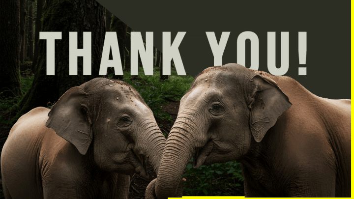 Free - Elephant Theme for PowerPoint and Google Slides - PPT Slides