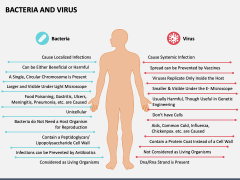 Bacteria and Virus PowerPoint and Google Slides Template - PPT Slides