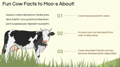 Free - Cow Presentation for PowerPoint and Google Slides - PPT Slides