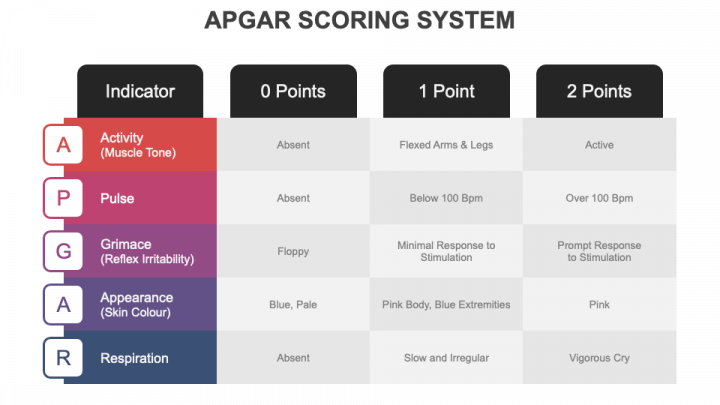 APGAR Scoring System PowerPoint and Google Slides Template - PPT Slides