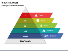 Birds Triangle PowerPoint and Google Slides Template - PPT Slides