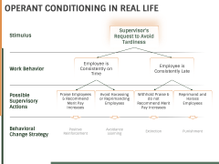 Operant Conditioning PowerPoint and Google Slides Template - PPT Slides