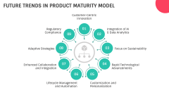 Product Maturity Model Powerpoint And Google Slides Template Ppt Slides