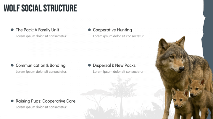Free - Wolf Theme for PowerPoint and Google Slides - PPT Slides
