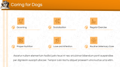 Free - Dog Presentation for PowerPoint and Google Slides - PPT Slides