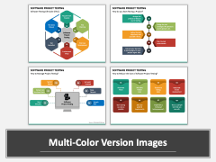 Software Project Testing PowerPoint and Google Slides Template - PPT Slides