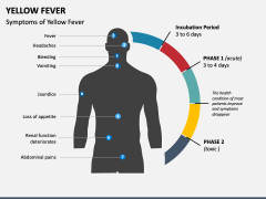 Yellow Fever PowerPoint and Google Slides Template - PPT Slides