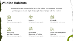 Free - Wildlife Presentation for PowerPoint and Google Slides - PPT Slides