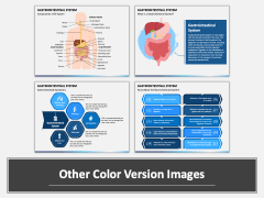 Gastrointestinal System PowerPoint and Google Slides Template - PPT Slides