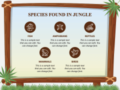 Free Jungle Presentation Theme for PowerPoint and Google Slides