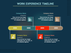 Work Experience Timeline PowerPoint and Google Slides Template - PPT Slides