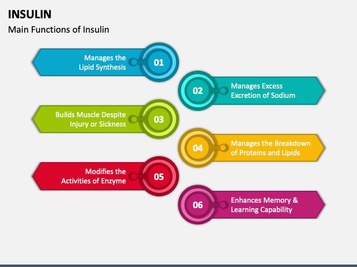 Insulin PowerPoint and Google Slides Template - PPT Slides